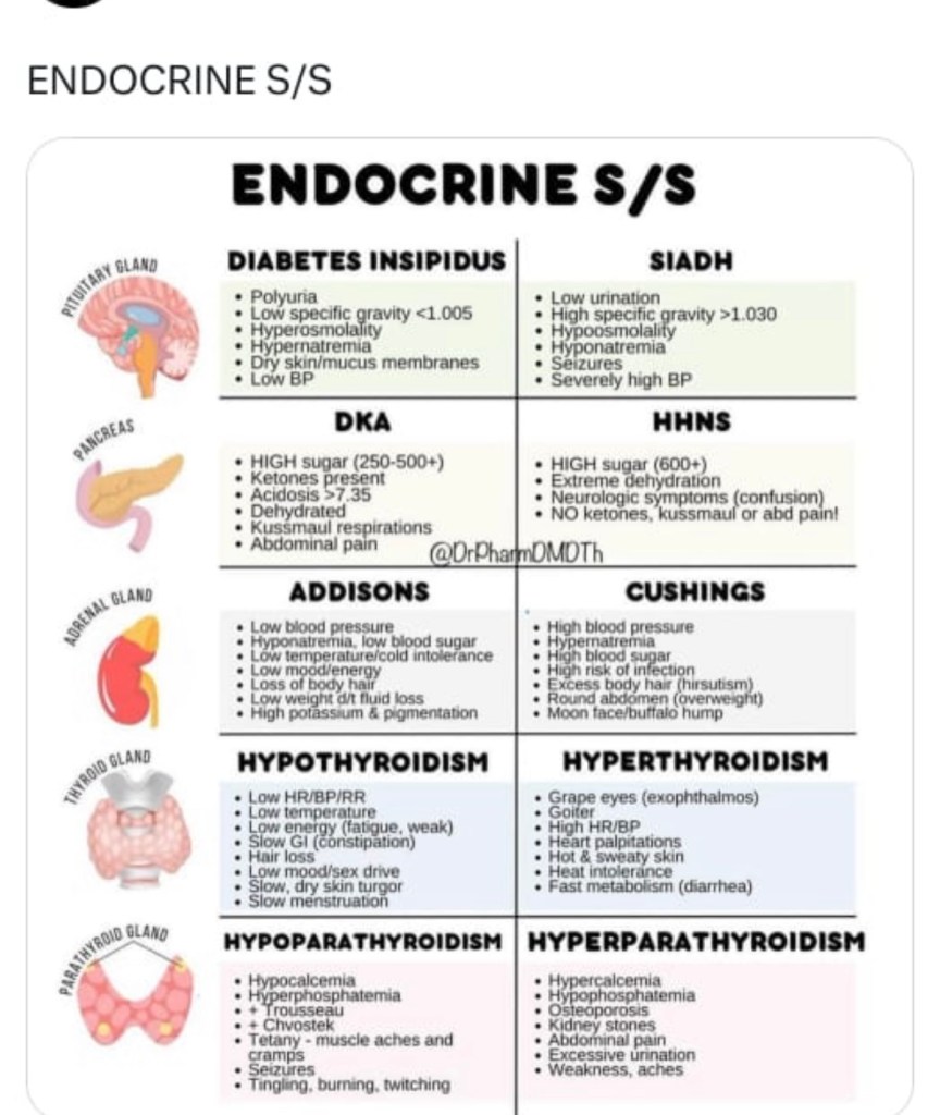 Endocrine – ECIPA Healthcare
